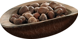 21 Best Benefits and Uses of Shea Butter for Skin! - Purity Natural